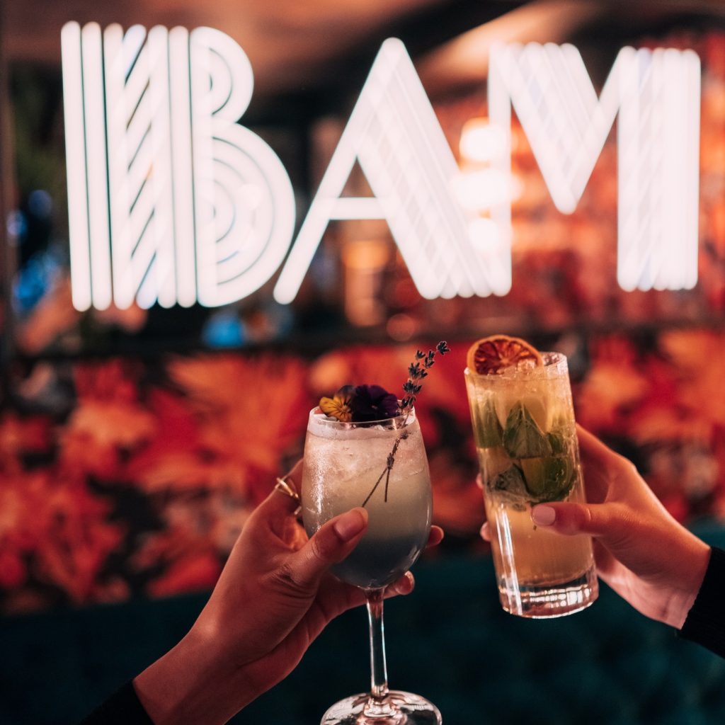 BAM Karaoke Box - Lightspeed Commerce